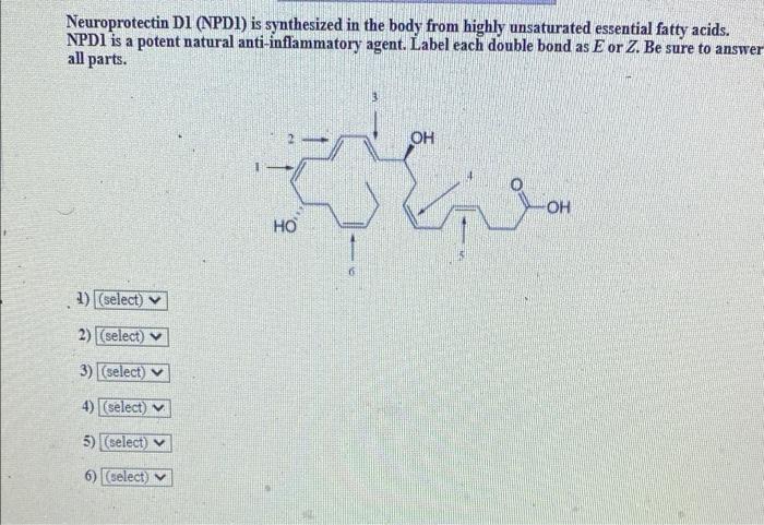 Solved Neuroprotectin D1 (NPDI) is synthesized in the body | Chegg.com