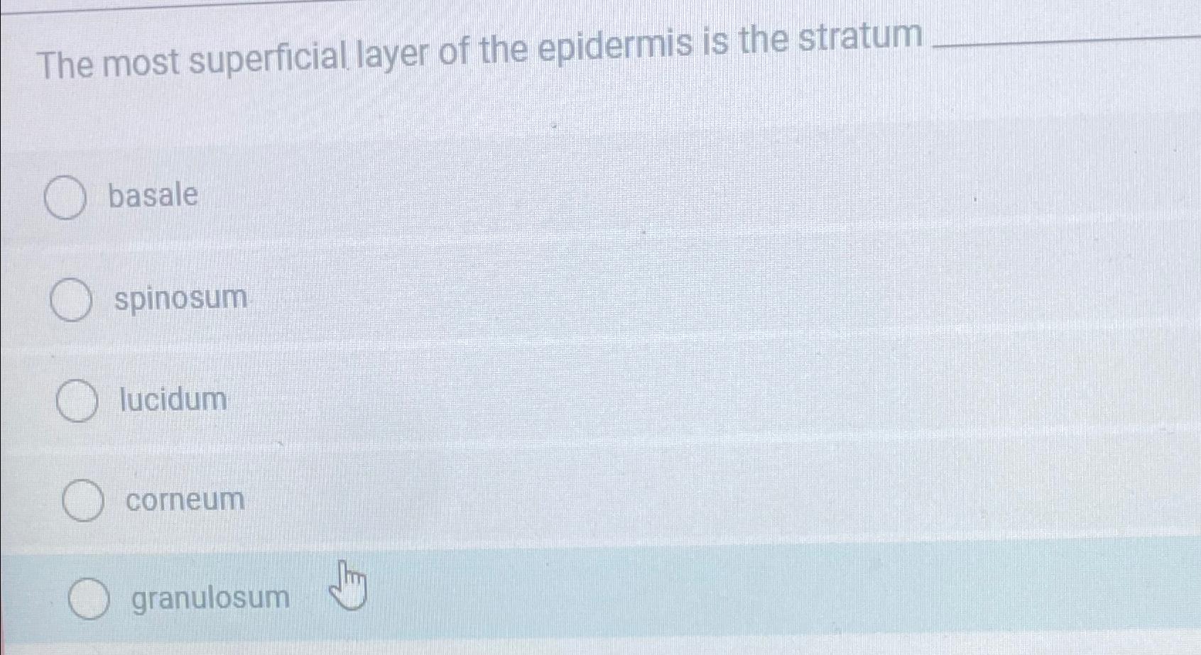 Solved The most superficial layer of the epidermis is the | Chegg.com