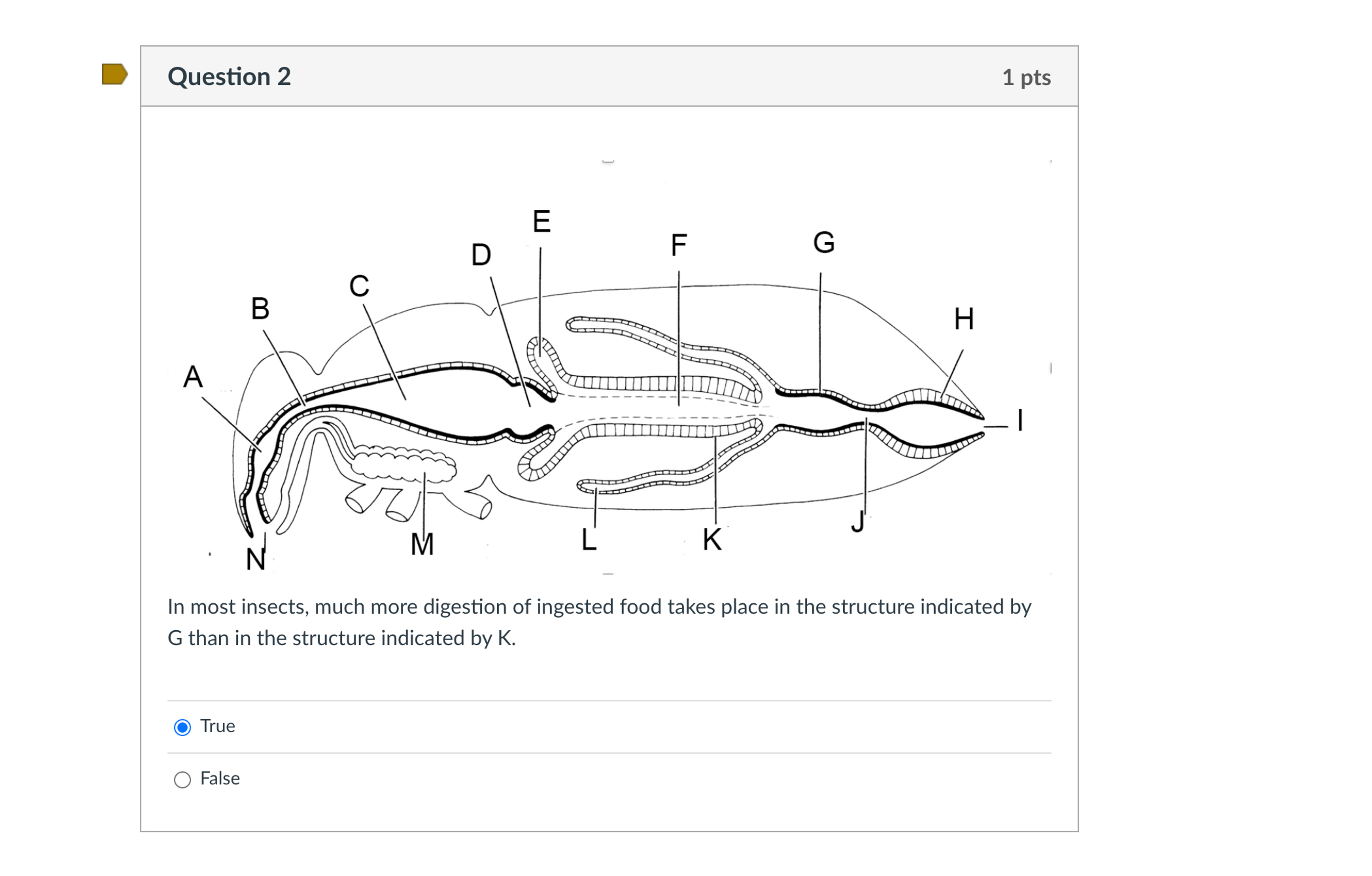Solved Question 2In most insects, much more digestion of | Chegg.com