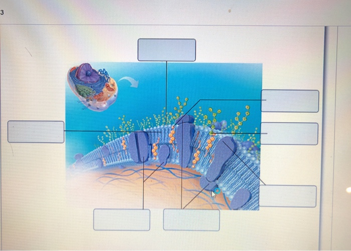 Solved Calculate the total volume using the volume of a drop | Chegg.com