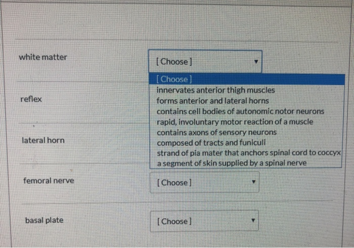 Solved Match each term with its correct definition. effector | Chegg.com