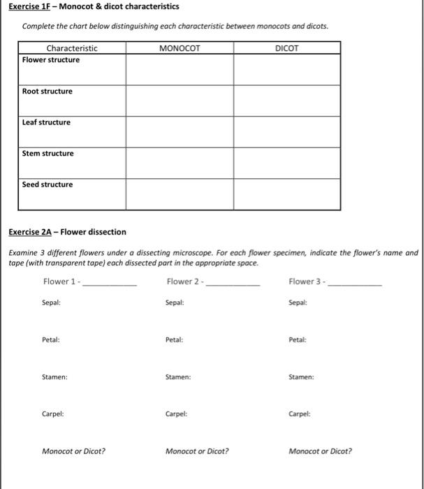 Solved Exercise 1A Draw an example below of a typical | Chegg.com