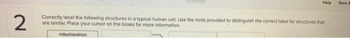 Solved Help Save 2 Correctly label the following structures | Chegg.com
