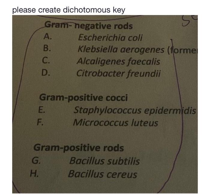 [Solved]: DRAW dichotomous key for all 8 organisms please