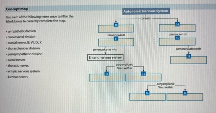 Solved Concept map Use each of the following terms once to | Chegg.com