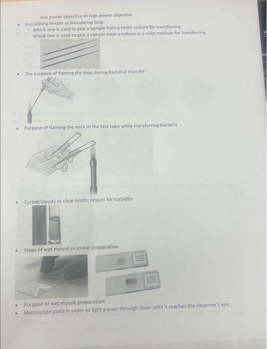 Solved low power objective to high power objective - | Chegg.com