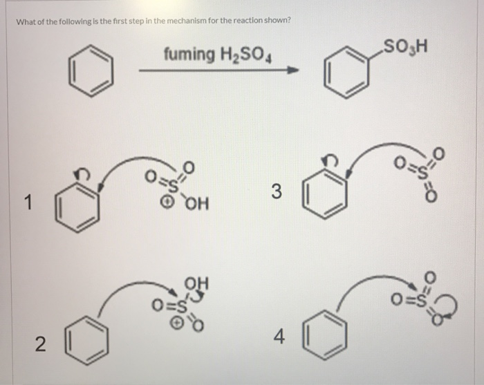 Solved What of the following is the first step in the | Chegg.com