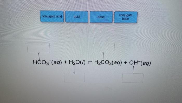 Solved conjugate acid acid base conjugate base HCO3- (aq) + | Chegg.com