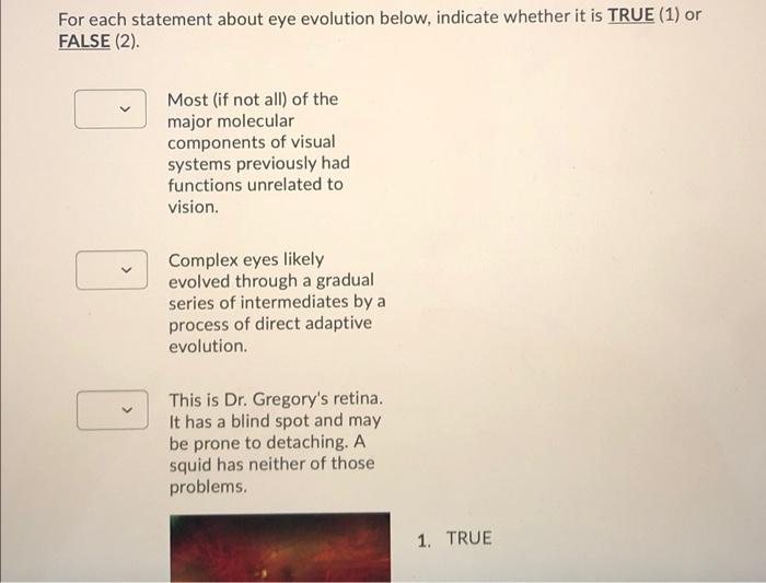 For each statement about eye evolution below, | Chegg.com