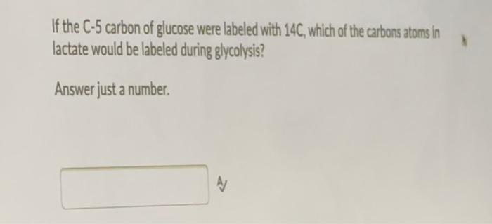 Solved If the C-5 carbon of glucose were labeled with 14C, | Chegg.com