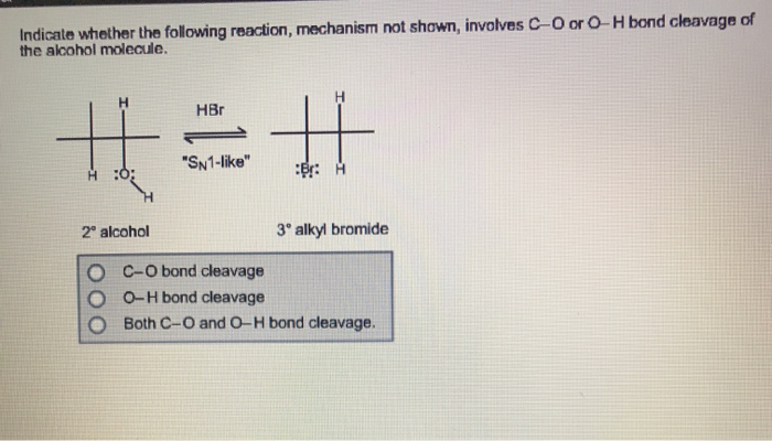 Solved Indicate whether the following reaction, mechanism | Chegg.com