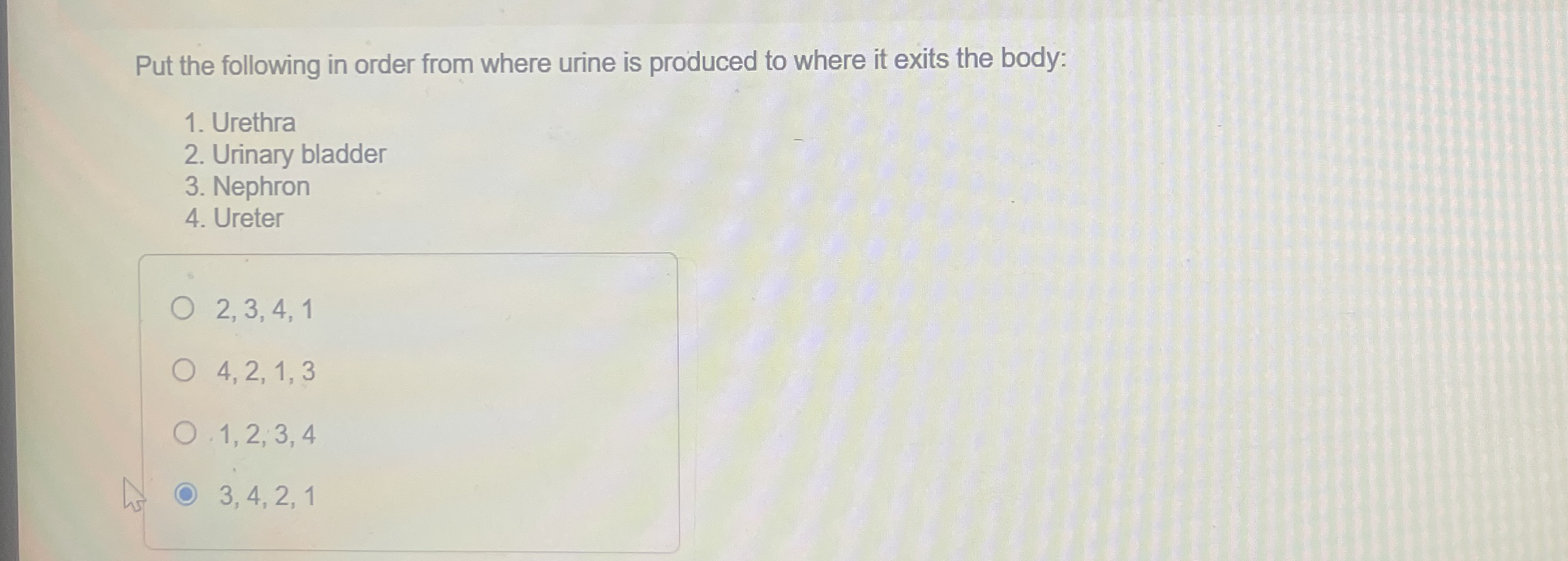 Solved Put the following in order from where urine is | Chegg.com