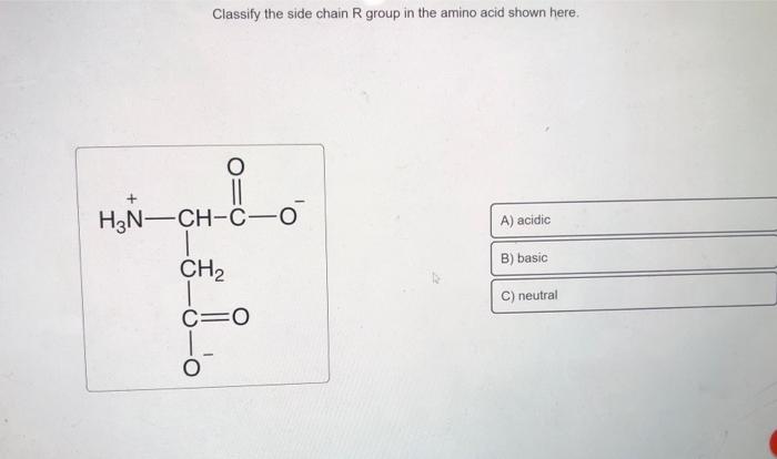 Solved Classify the side chain R group in the amino acid | Chegg.com