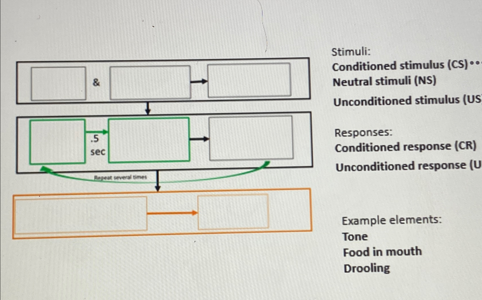 Solved Stimuli:Conditioned stimulus (CS) * ﻿Neutral stimuli | Chegg.com