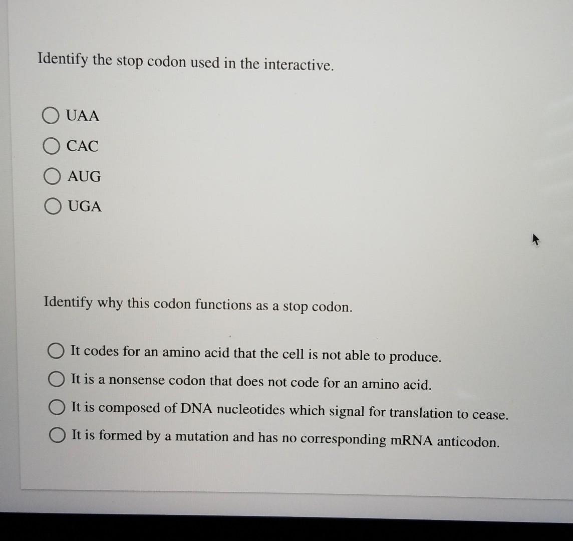Solved Identify the stop codon used in the interactive. O | Chegg.com