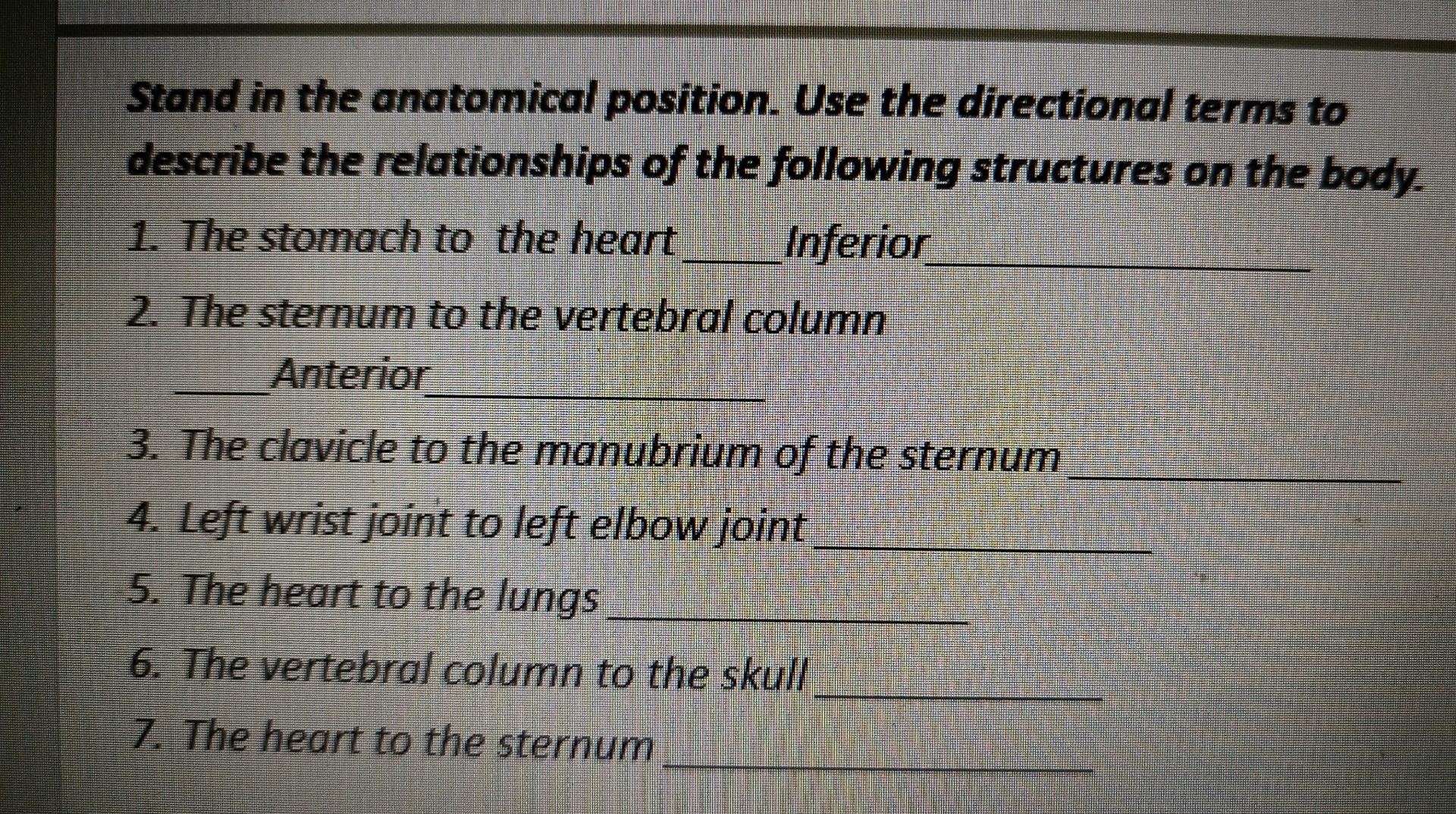 Solved Stand in the anatomical position. Use the directional | Chegg.com
