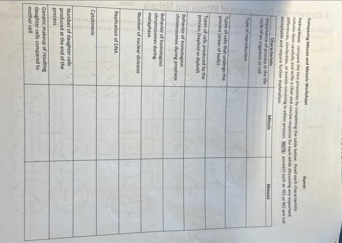 Solved Comparing Mitosis and Meiosis Worksheet Name: | Chegg.com