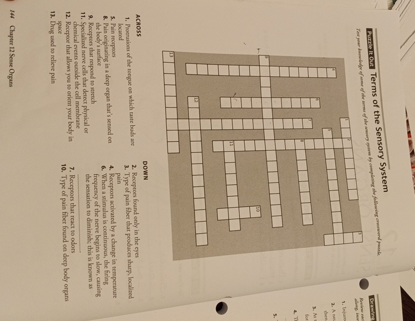 Solved Puzzle it out Terms of the Sensory SystemTest your | Chegg.com