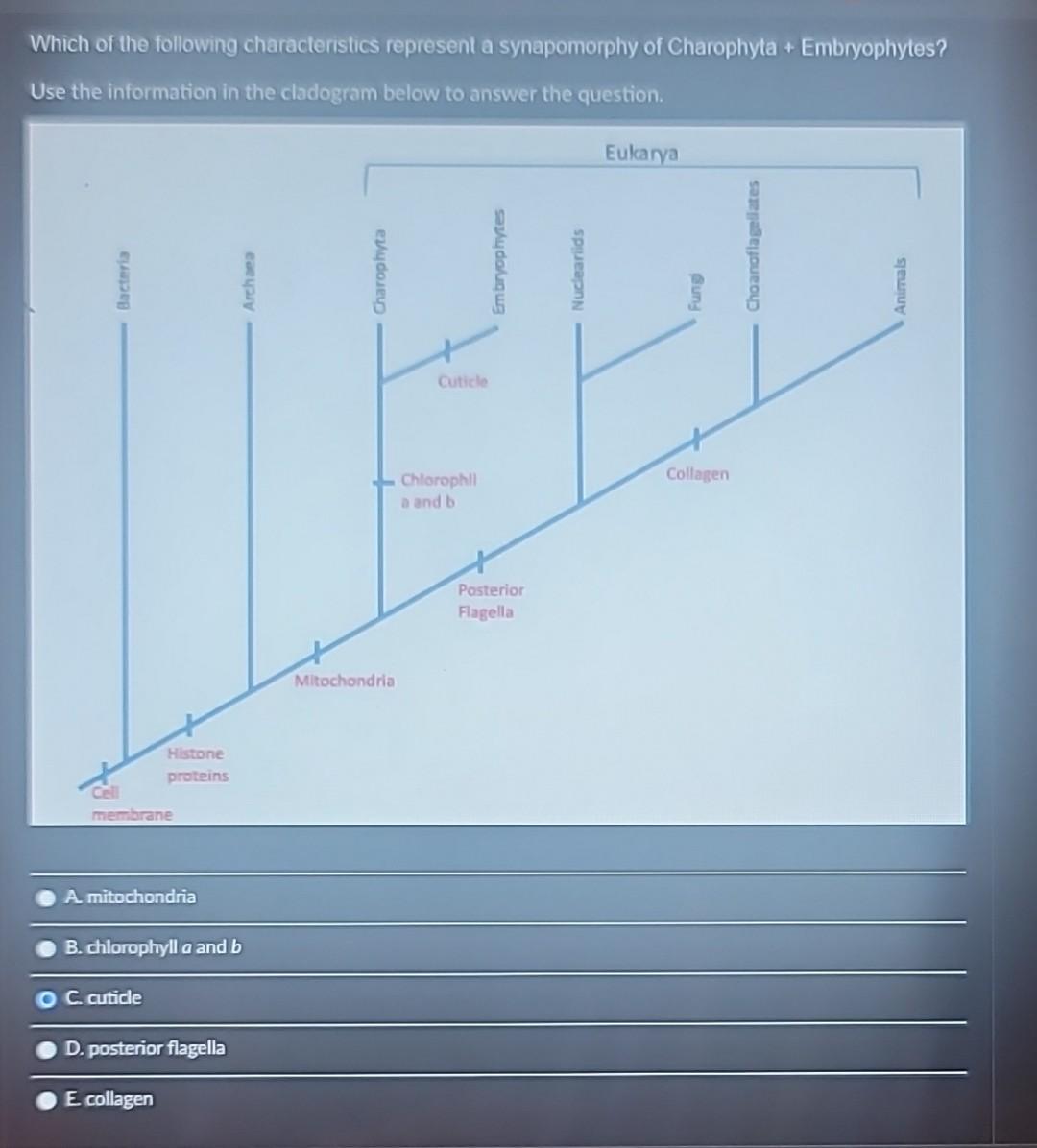 Solved Which of the following characteristics is a | Chegg.com
