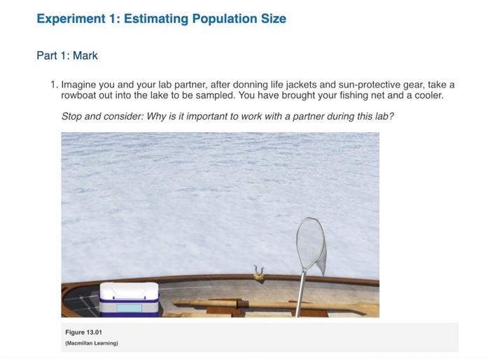 Solved Experiment 1: Estimating Population Size Part 1: Mark | Chegg.com