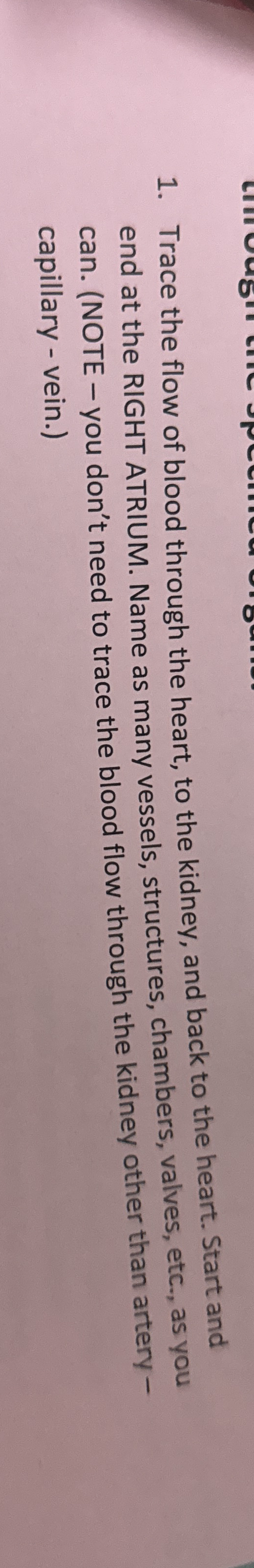 Solved Trace the flow of blood through the heart, to the | Chegg.com