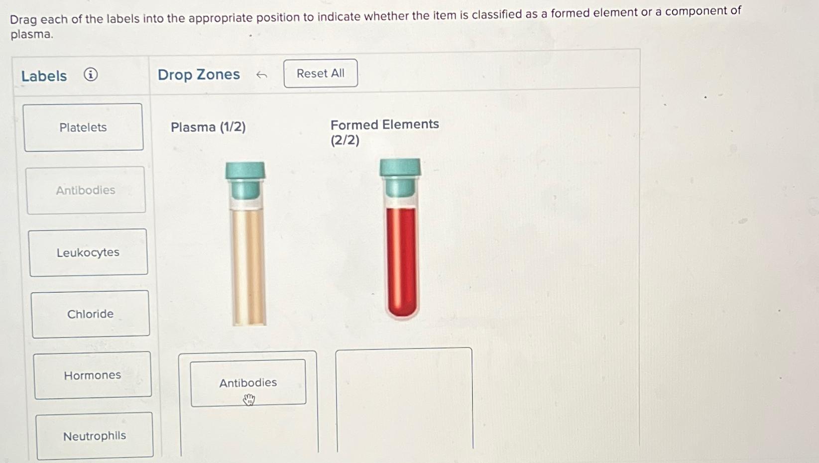 Solved Drag each of the labels into the appropriate position | Chegg.com