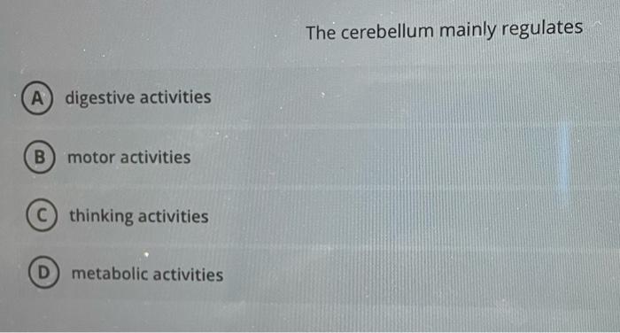 Solved The cerebellum mainly regulates digestive activities | Chegg.com