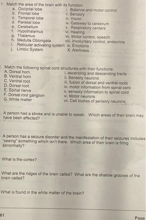 Solved 1. Match the area of the brain with its function: a. | Chegg.com