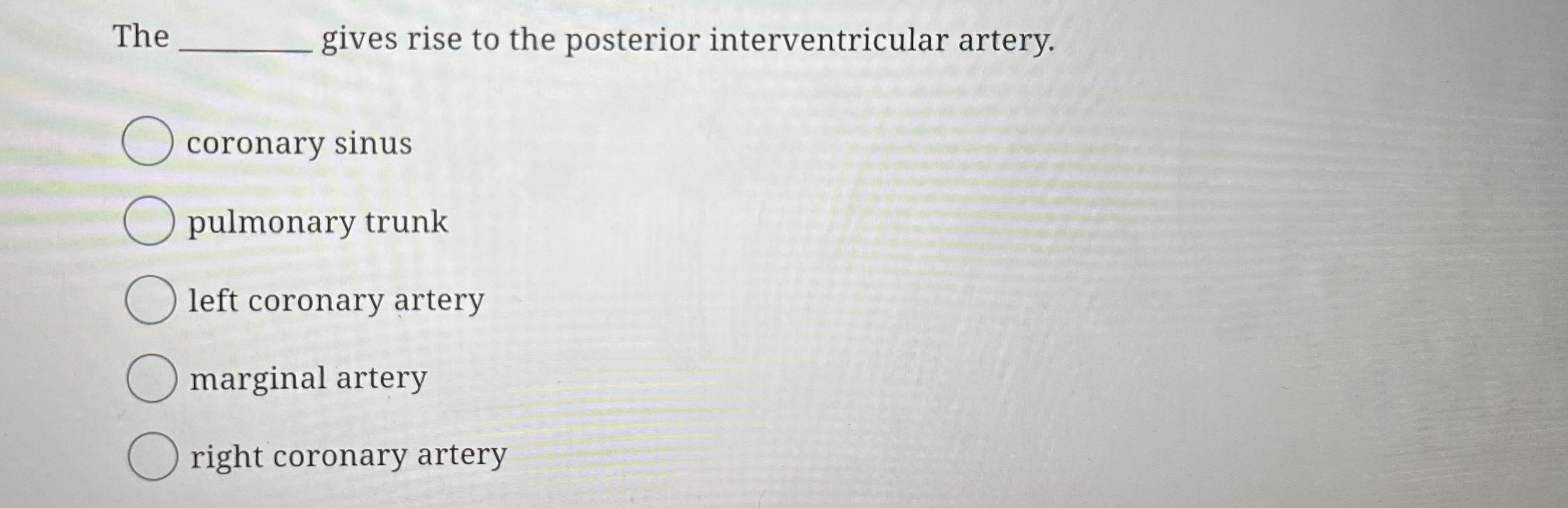 Solved The gives rise to the posterior interventricular | Chegg.com
