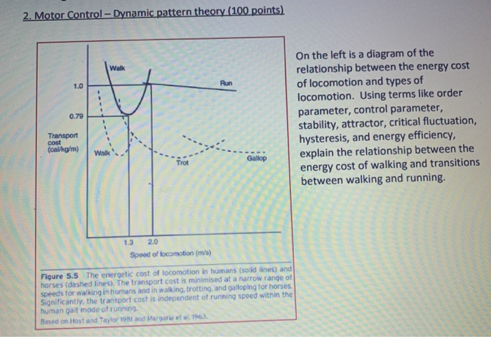 2. Motor Control - Dynamic pattern theory (100 | Chegg.com