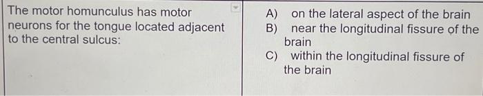 Solved The motor homunculus has motor neurons for the tongue | Chegg.com