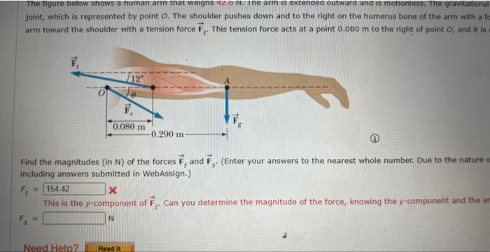 Solved The figure below shows a human arm that weighs 42.6 | Chegg.com