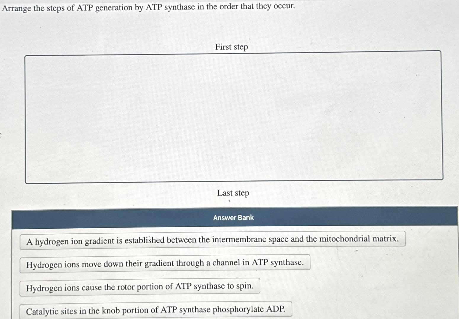 Solved Arrange The Steps Of Atp Generation By Atp Synthase