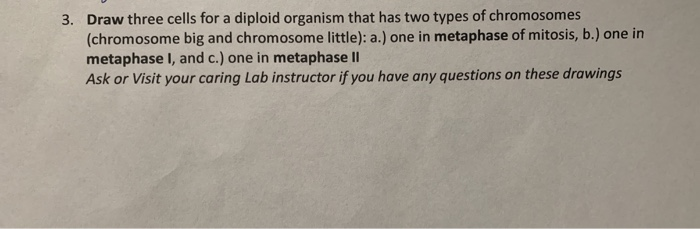 Solved 3. Draw three cells for a diploid organism that has | Chegg.com