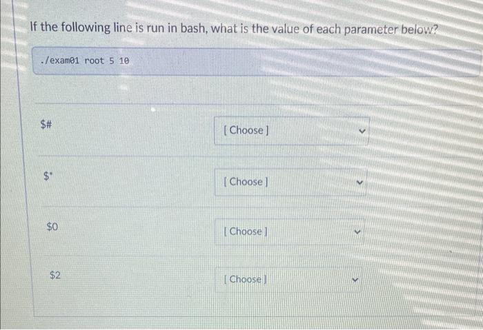 Solved If the following line is run in bash, what is the | Chegg.com