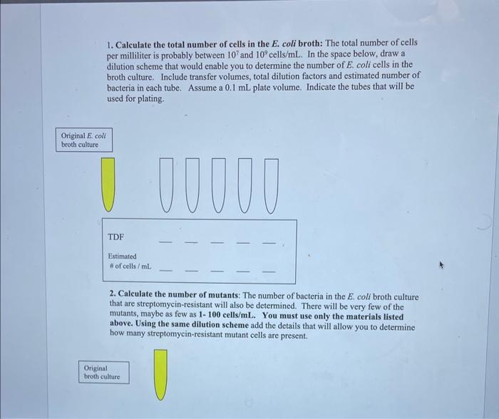 Calculate the total number of cells in the E. coli | Chegg.com