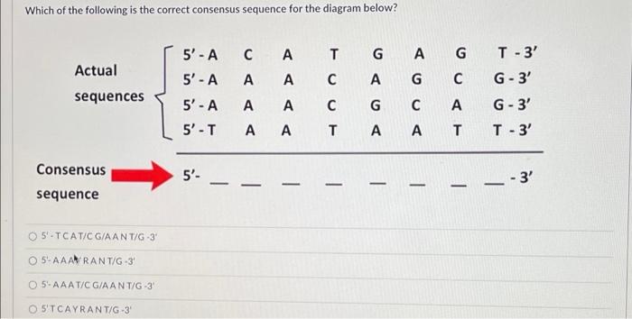 Solved Which of the following is the correct consensus | Chegg.com