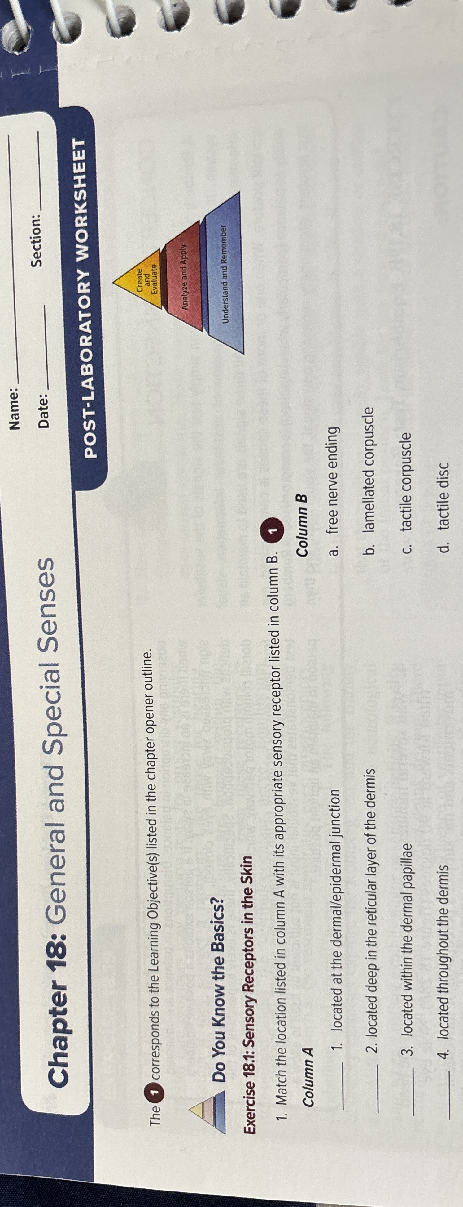 Solved Chapter 18: General and Special | Chegg.com