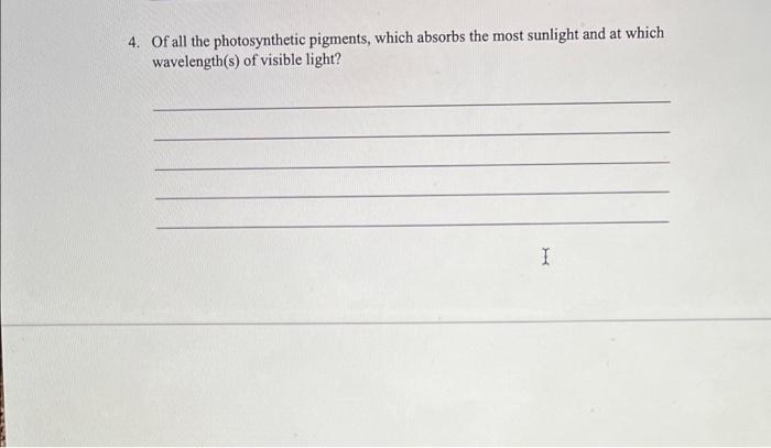 Solved Name your submission Lastname, Photoswuthesis and | Chegg.com
