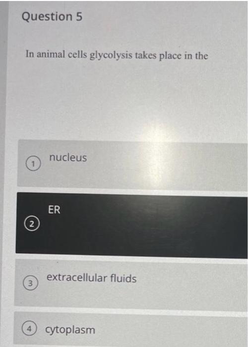 Solved could you please check my answers to see if they are | Chegg.com