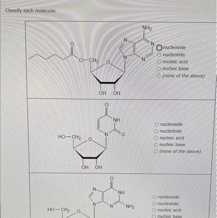 Solved Classify each molecule: nucleoside nucleotide | Chegg.com