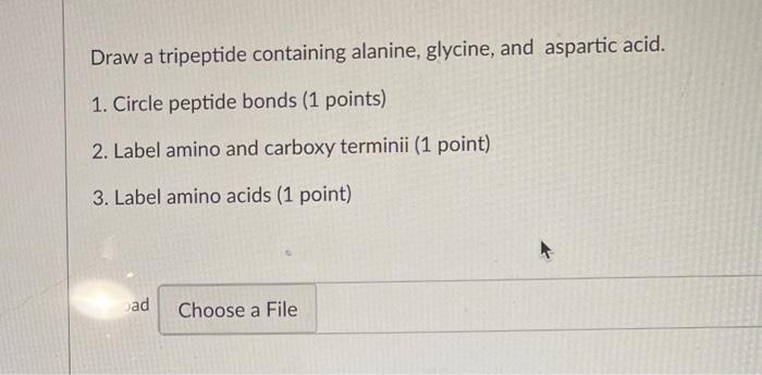 Solved Draw a tripeptide containing alanine, glycine, and | Chegg.com