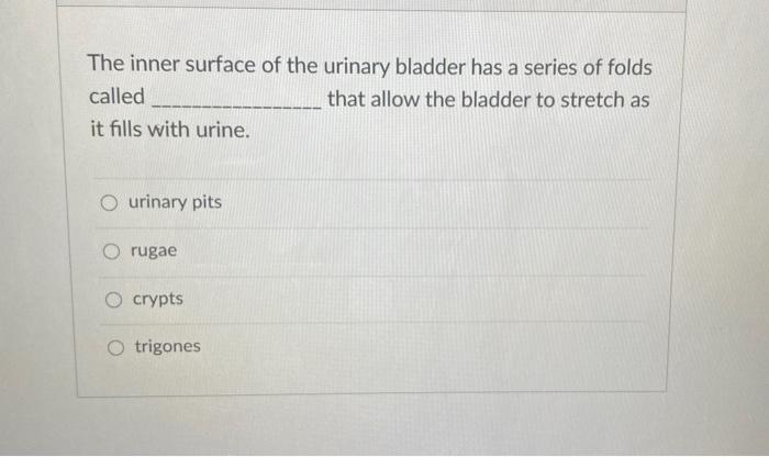 Solved The inner surface of the urinary bladder has a series | Chegg.com