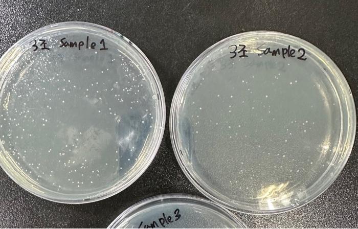 Solved Methods \begin{tabular}{c|c|c|c} & Sampl 1 & Sampl 2 | Chegg.com