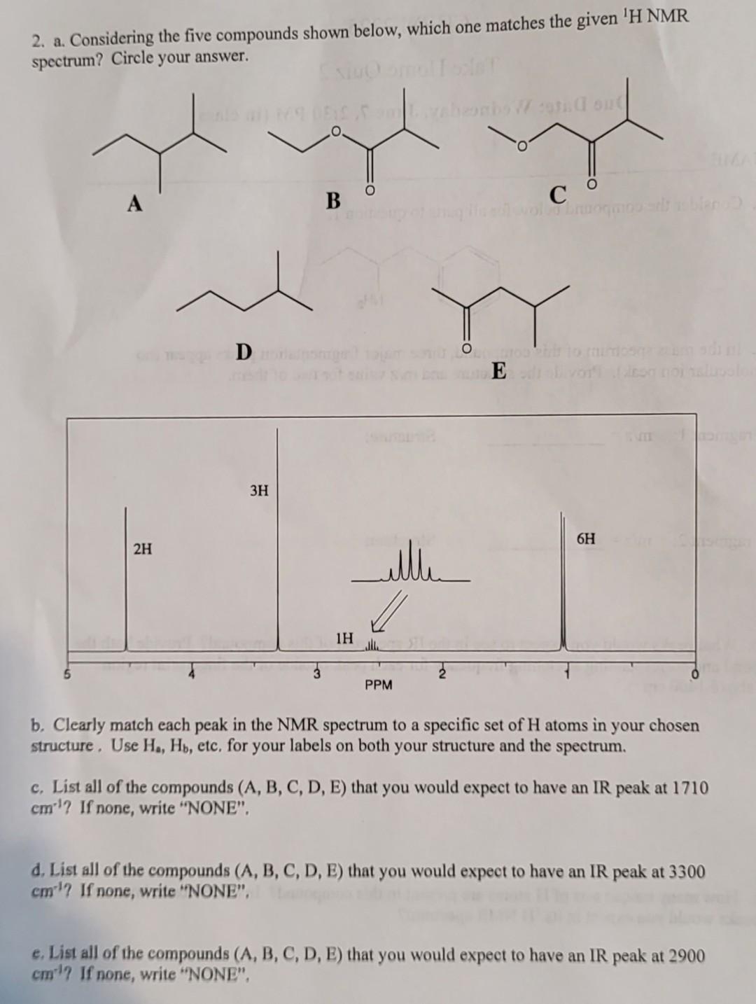 Solved 2. a. Considering the five compounds shown below, | Chegg.com