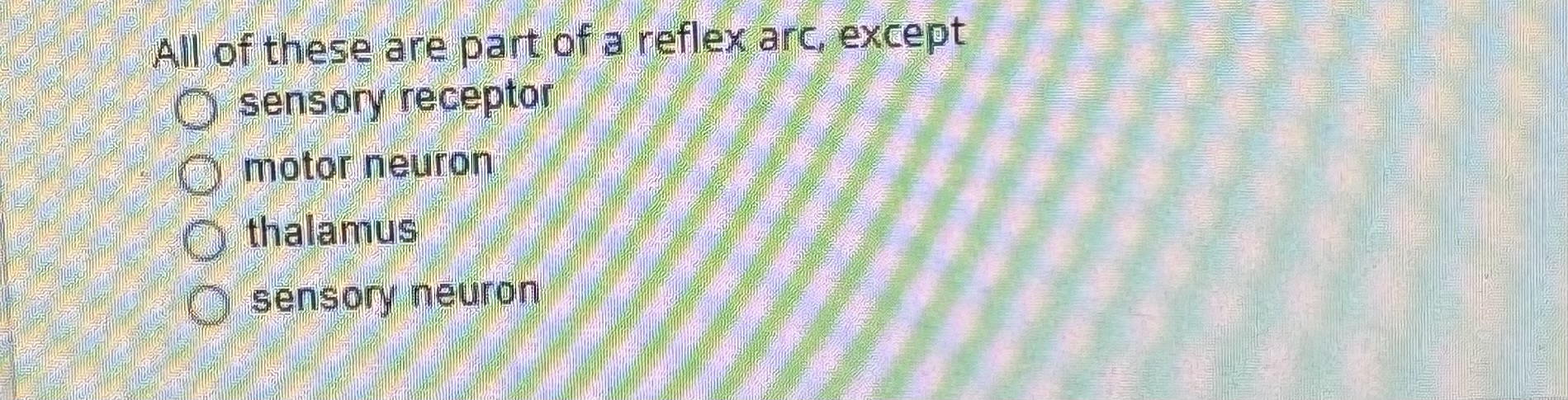 Solved All of these are part of a reflex arc, exceptsensory | Chegg.com
