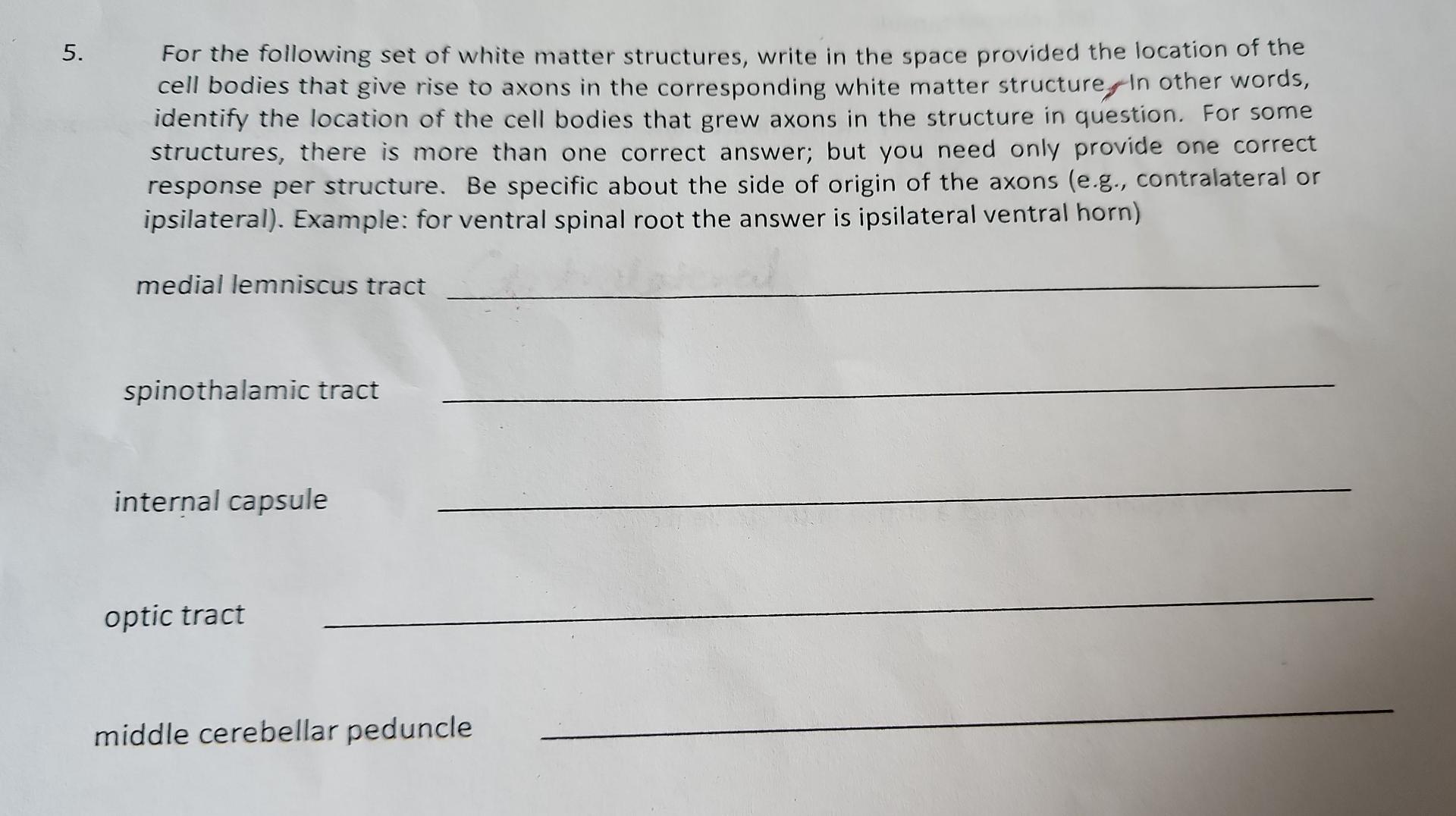 Solved 5. For the following set of white matter structures, | Chegg.com
