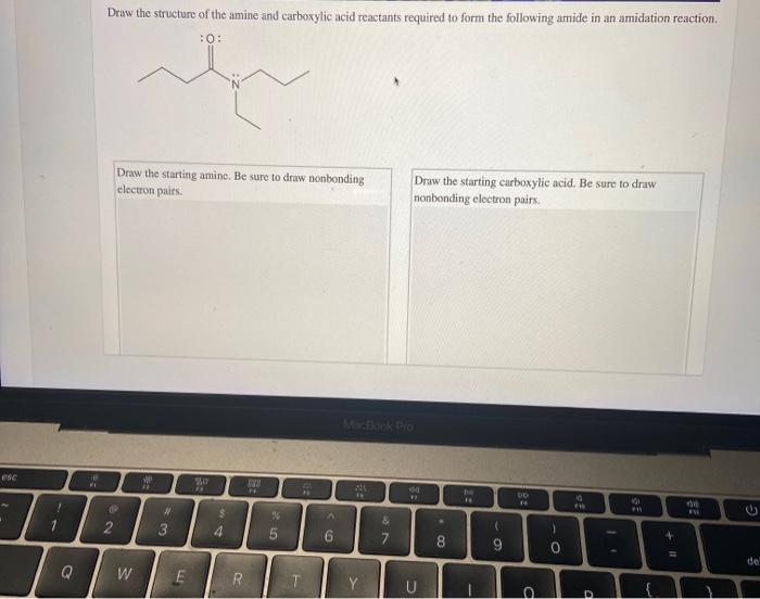 Solved Draw the structure of the amine and carboxylic acid | Chegg.com