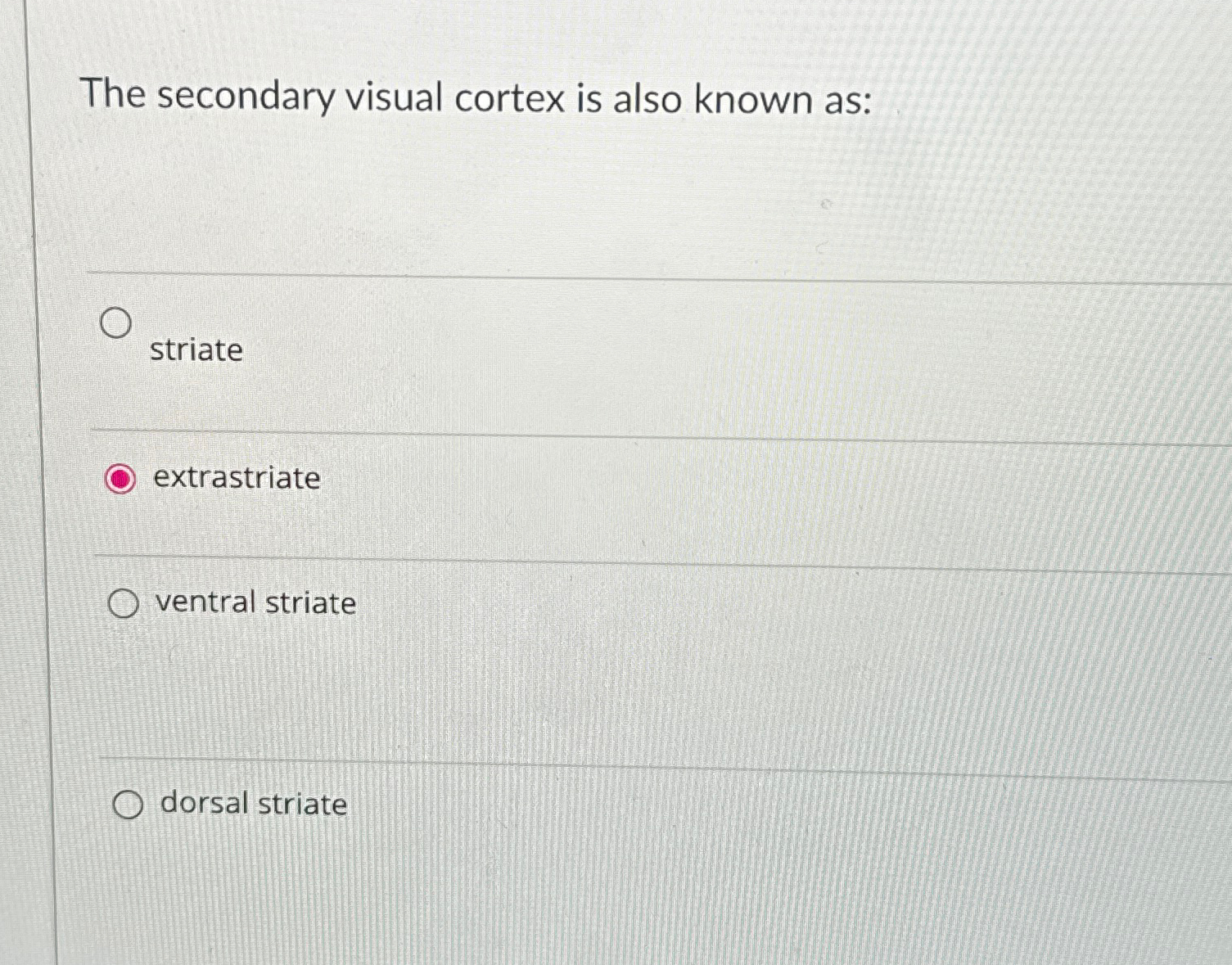 Solved The secondary visual cortex is also known | Chegg.com