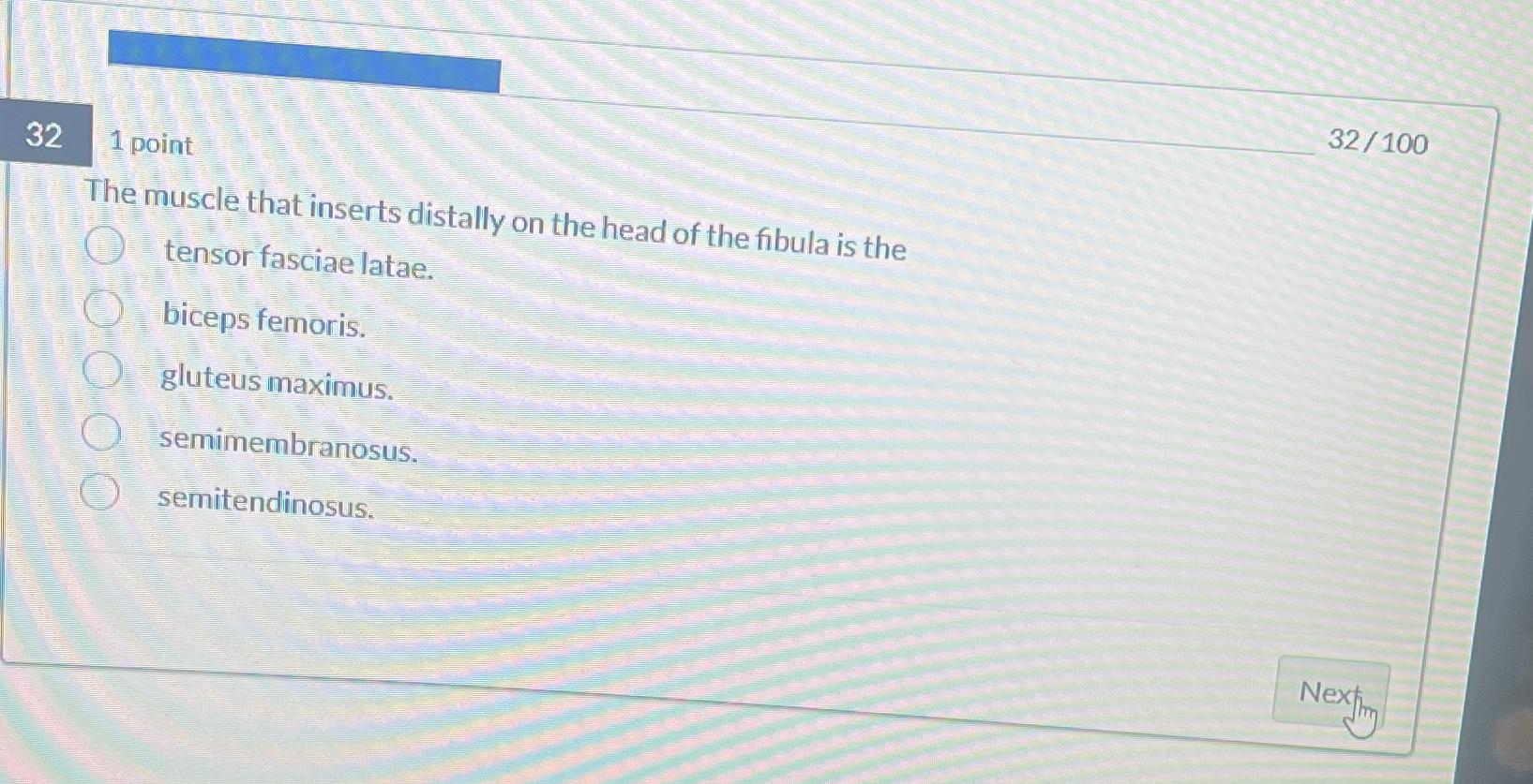 Solved 321 ﻿point32100The muscle that inserts distally on | Chegg.com